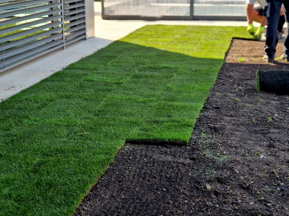 Residential Carpet Installation Auckland | Soft, Stylish & Professional ...